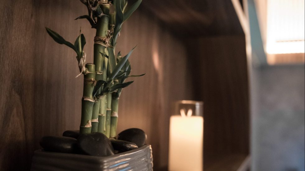 Shop - Bellevue & Totem Lake Massage & Spa Packages | Yuan Spa